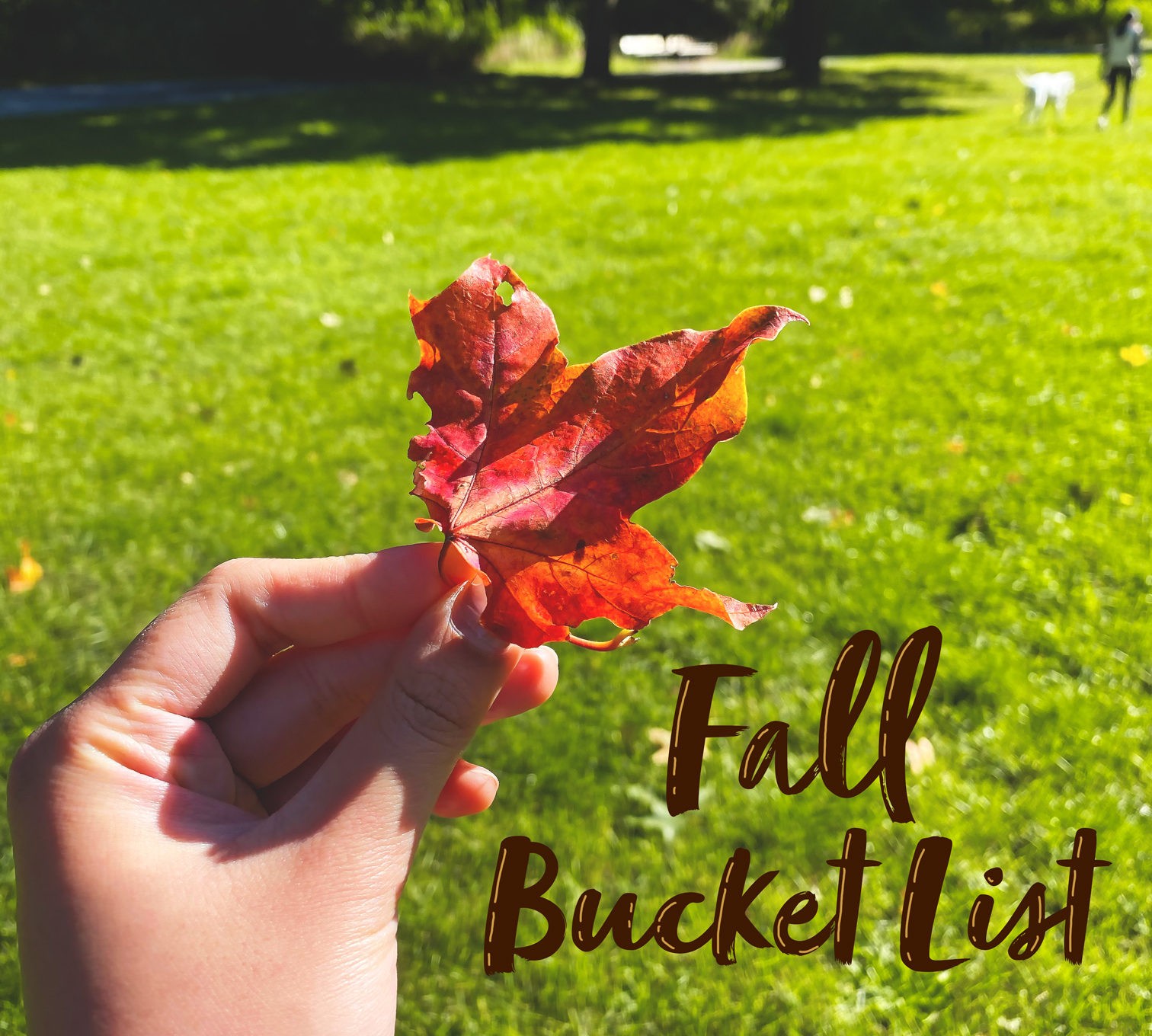 Fall 2020 Bucket List Covid safe Activities To Do This Fall